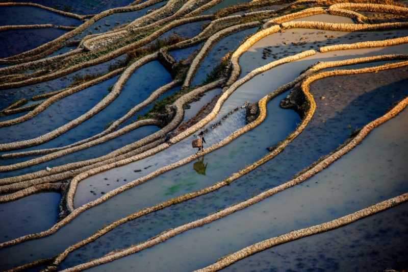 How to Visit China’s Rice Terraces | WildChina